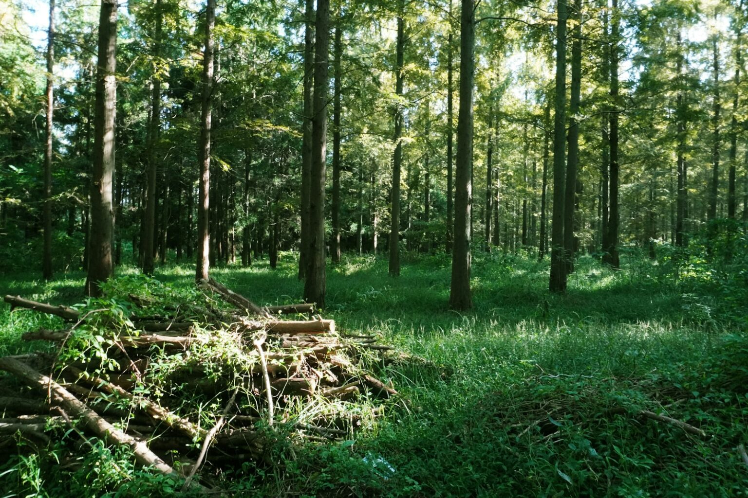 MethaneSat Failure: Climate Mission Ends After Lost Launch